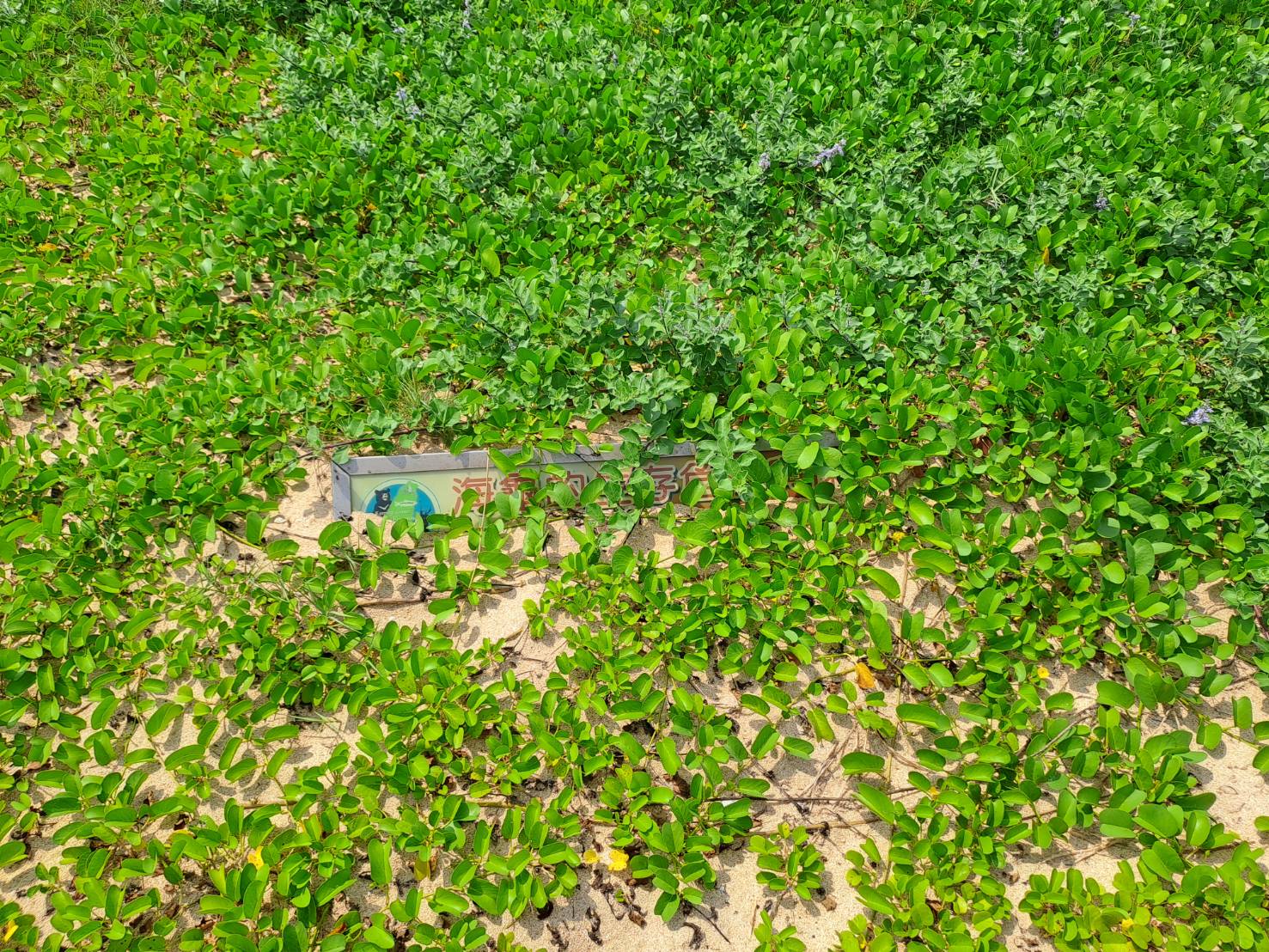 Marine protected areas of Taiwan