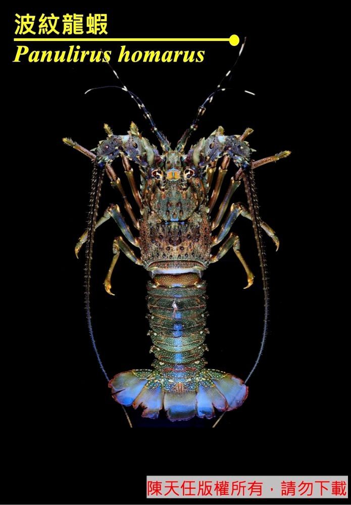 Marine protected areas of Taiwan
