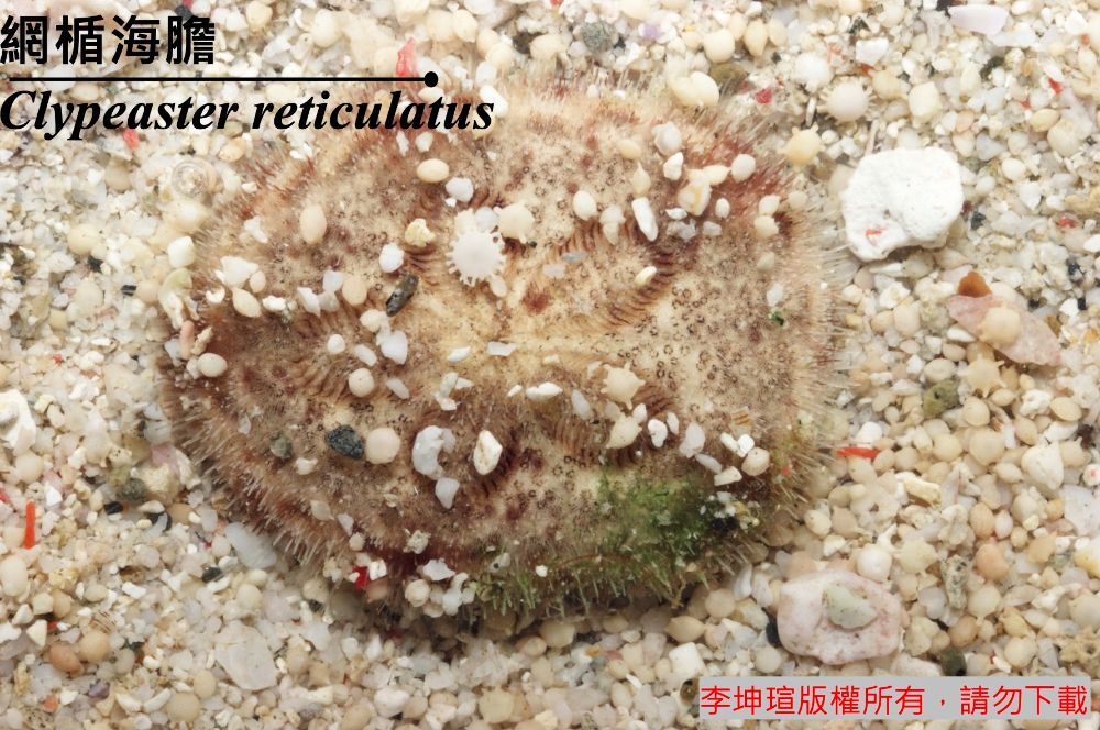 Marine protected areas of Taiwan